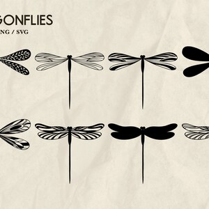 Dragonfly Svg Bundle Insect Svg Dragonfly Vector Dragonflies Svg ...