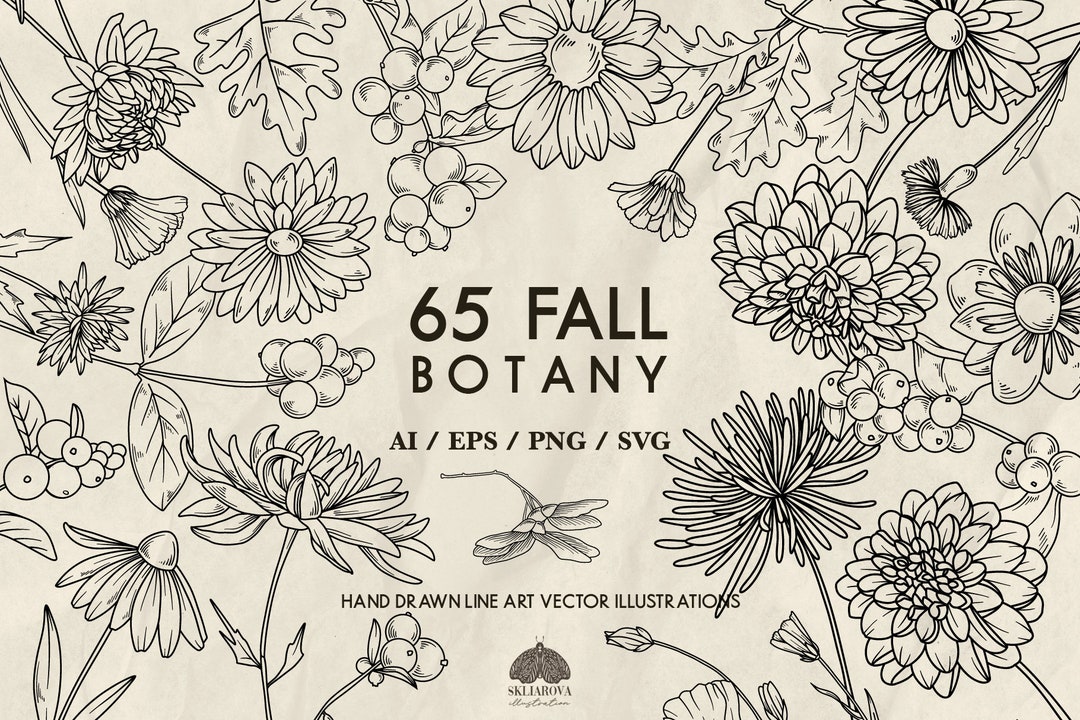 Fall Floral Svg Bundle Autumn Botanical Line Art Svg Line Drawing ...