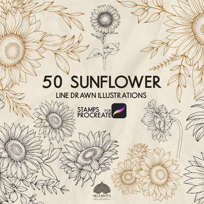 Line Drawing Sunflower - Etsy