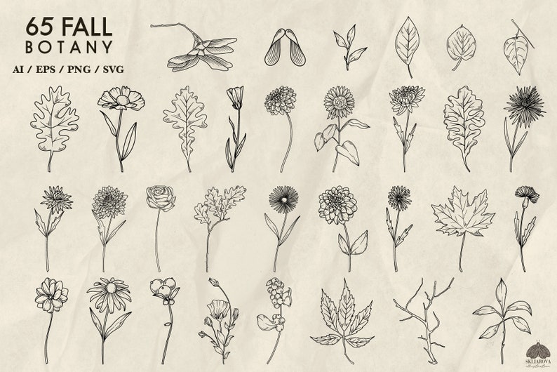 Fall Floral Svg Bundle Autumn Botanical Line Art Svg Line Drawing ...