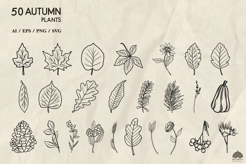 Autumn Svg Bundle Fall Botanical Line Art Svg Png Leaves Outline ...