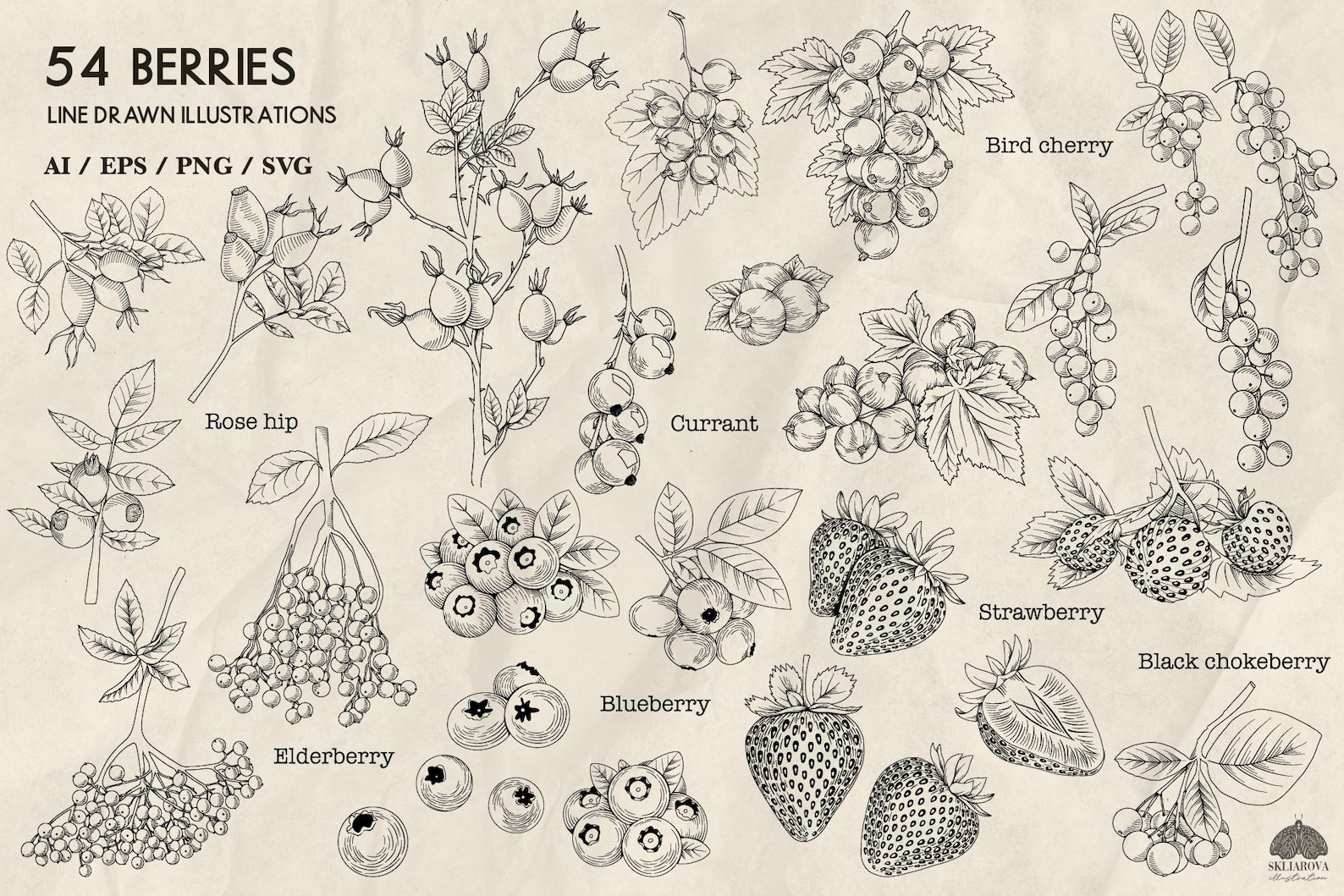 Berry Svg Bundle Berries Svg Blueberry Svg Strawberry Svg Raspberry Svg ...