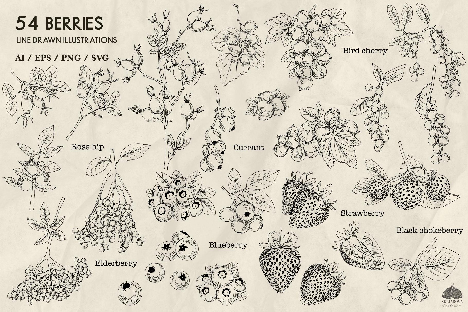 Berry Svg Bundle Berries Svg Blueberry Svg Strawberry Svg Raspberry Svg ...