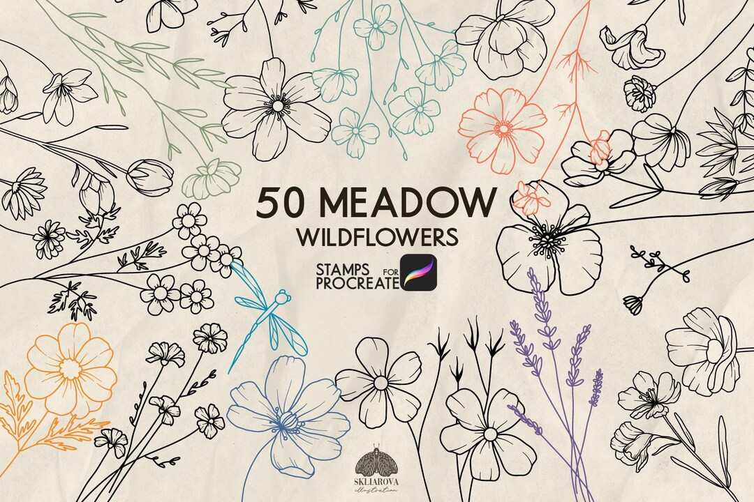 Wildflower Stamps for Procreate: 50 Botanical Line Art Brushes ...