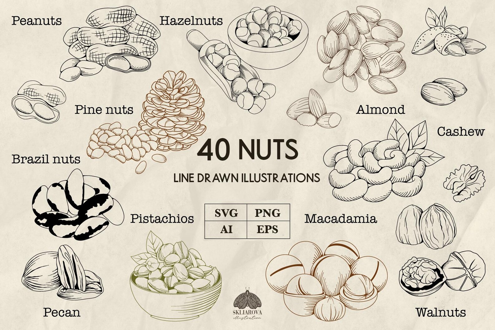 Food SVG Bundle: 40 Nuts Outline Vector Illustrations (+ PNG, EPS) - Etsy