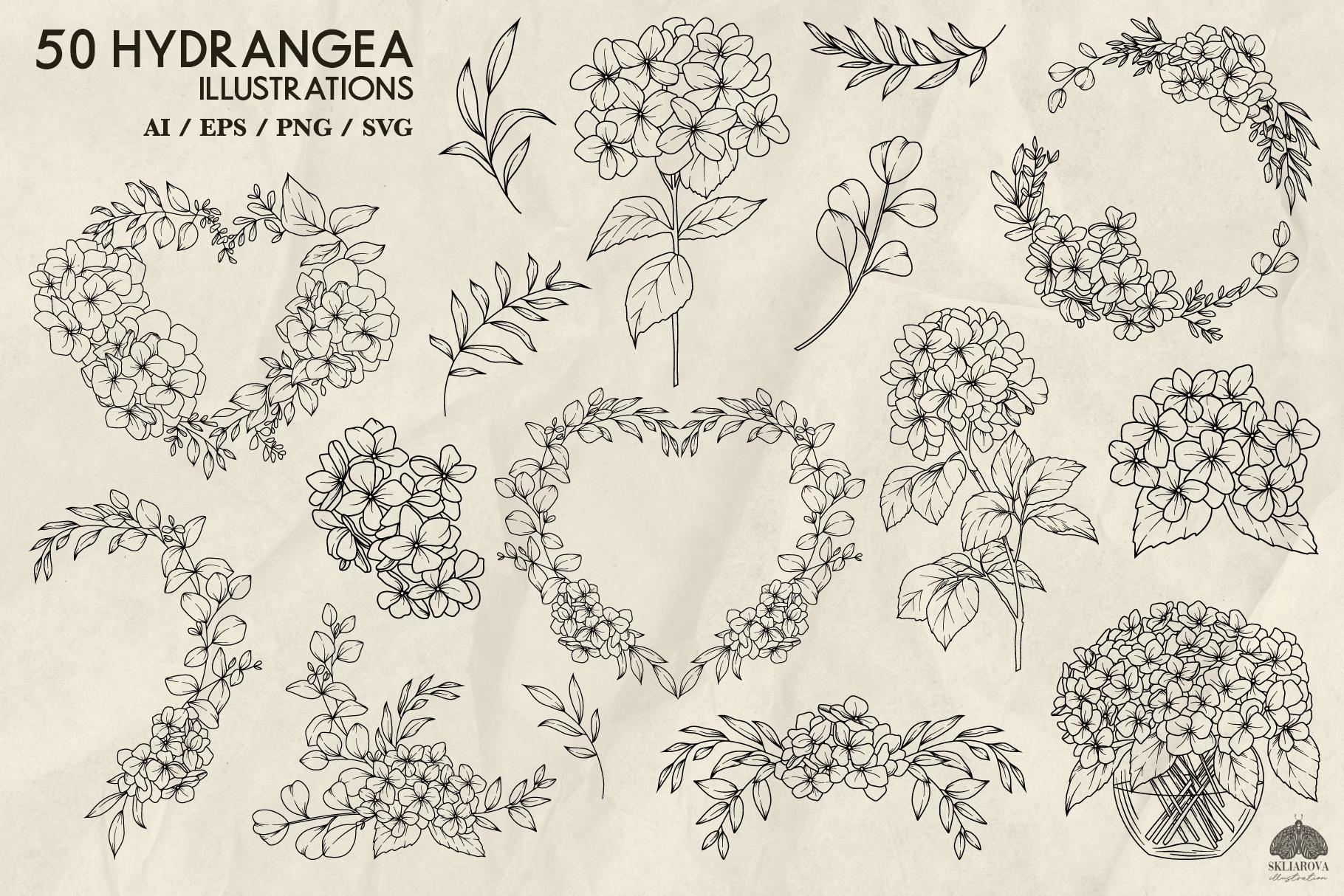 Hydrangea Svg Bundle Line Drawing Hydrangea Flower Wreath Svg Frame ...