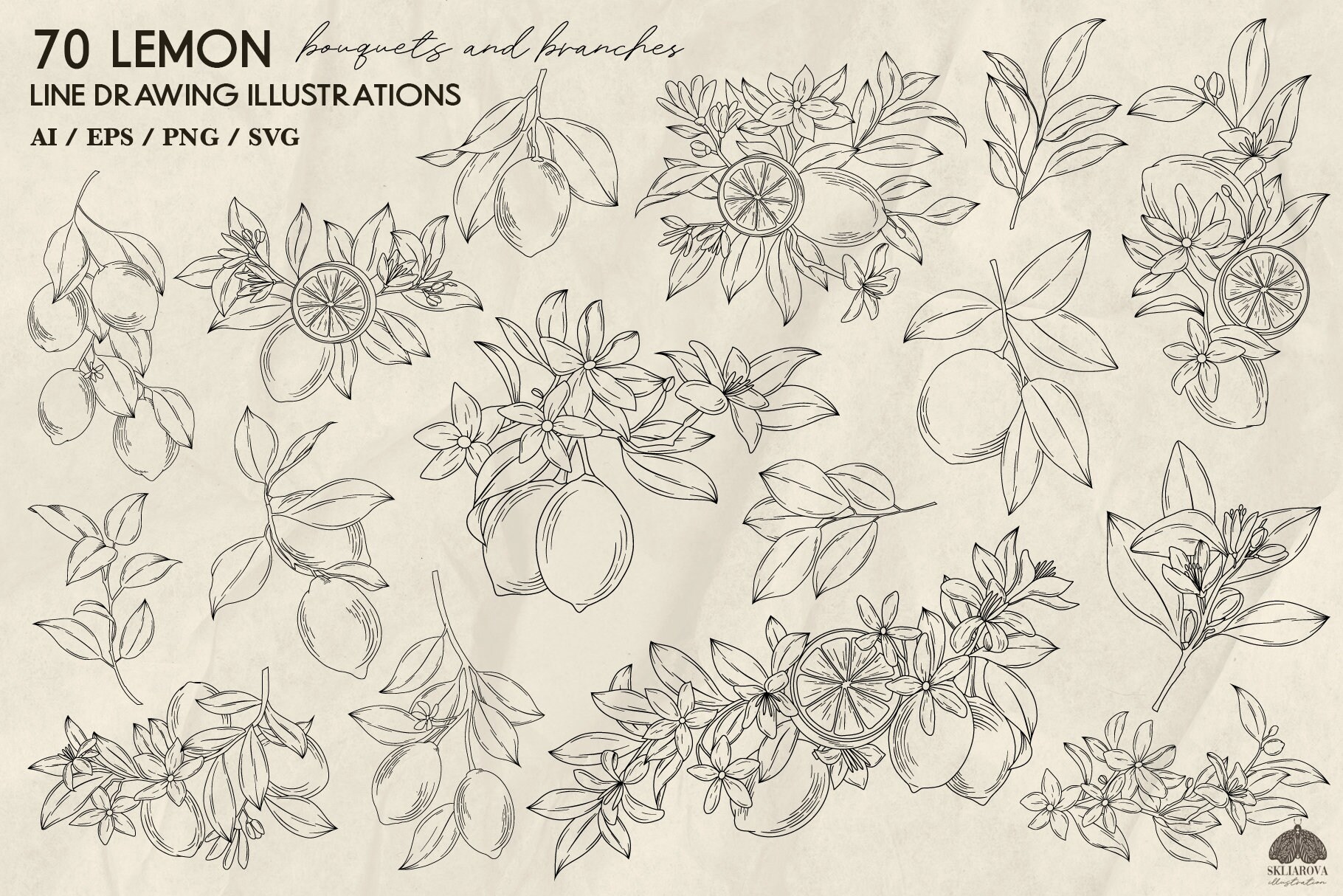 Lemon Svg Bundle Lemon Branches Svg Lemon Fruit Svg Lemon Line Drawing ...