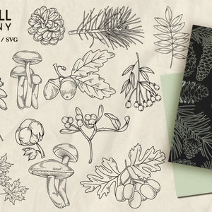 Fall Botanical Line Art SVG Bundle: 70 Autumn Floral Vector ...
