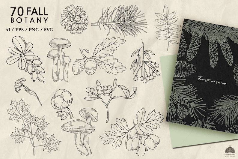 Fall Botanical Line Art SVG Bundle: 70 Autumn Floral Vector ...