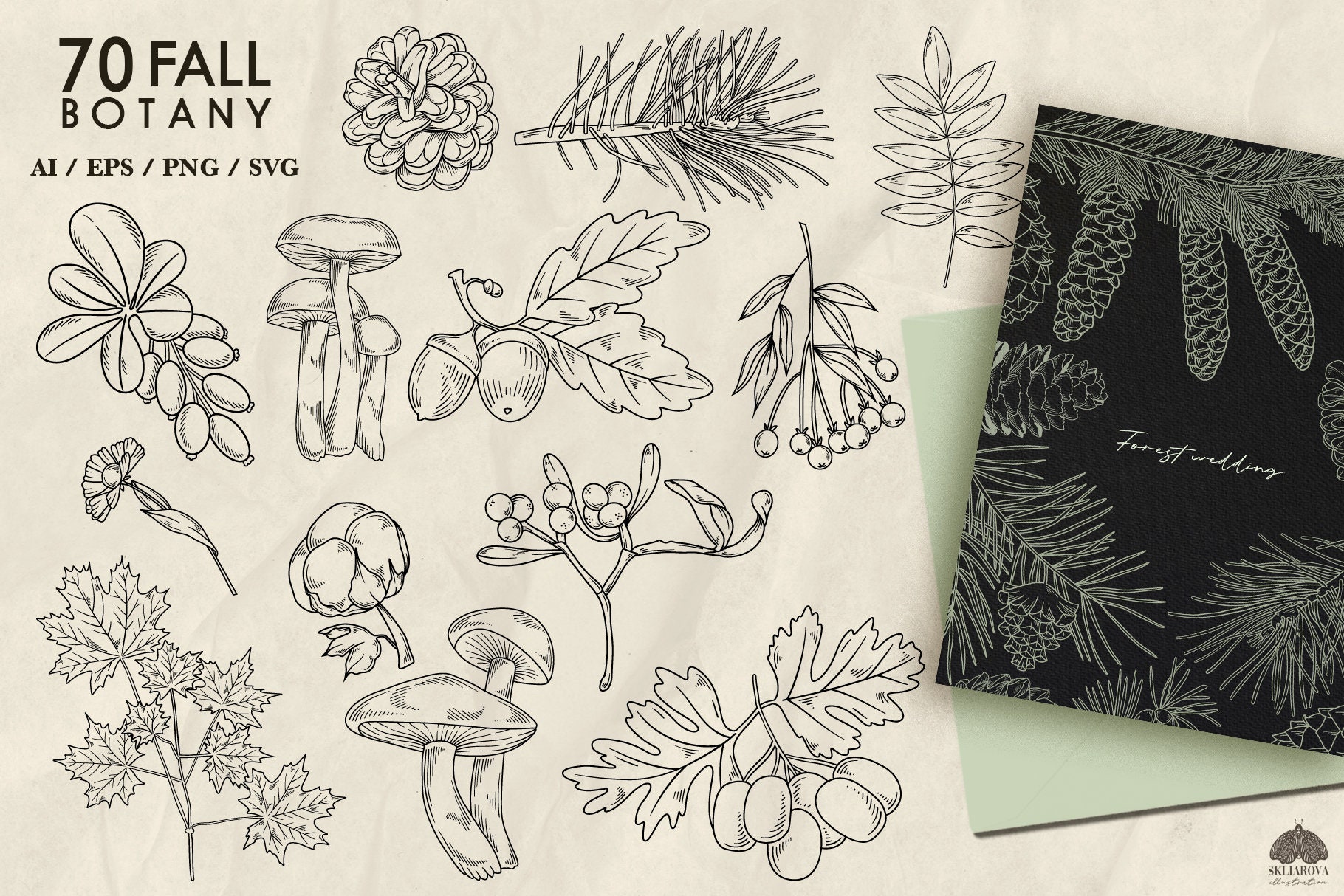 Fall Botanical Line Art SVG Bundle: 70 Autumn Floral Vector ...