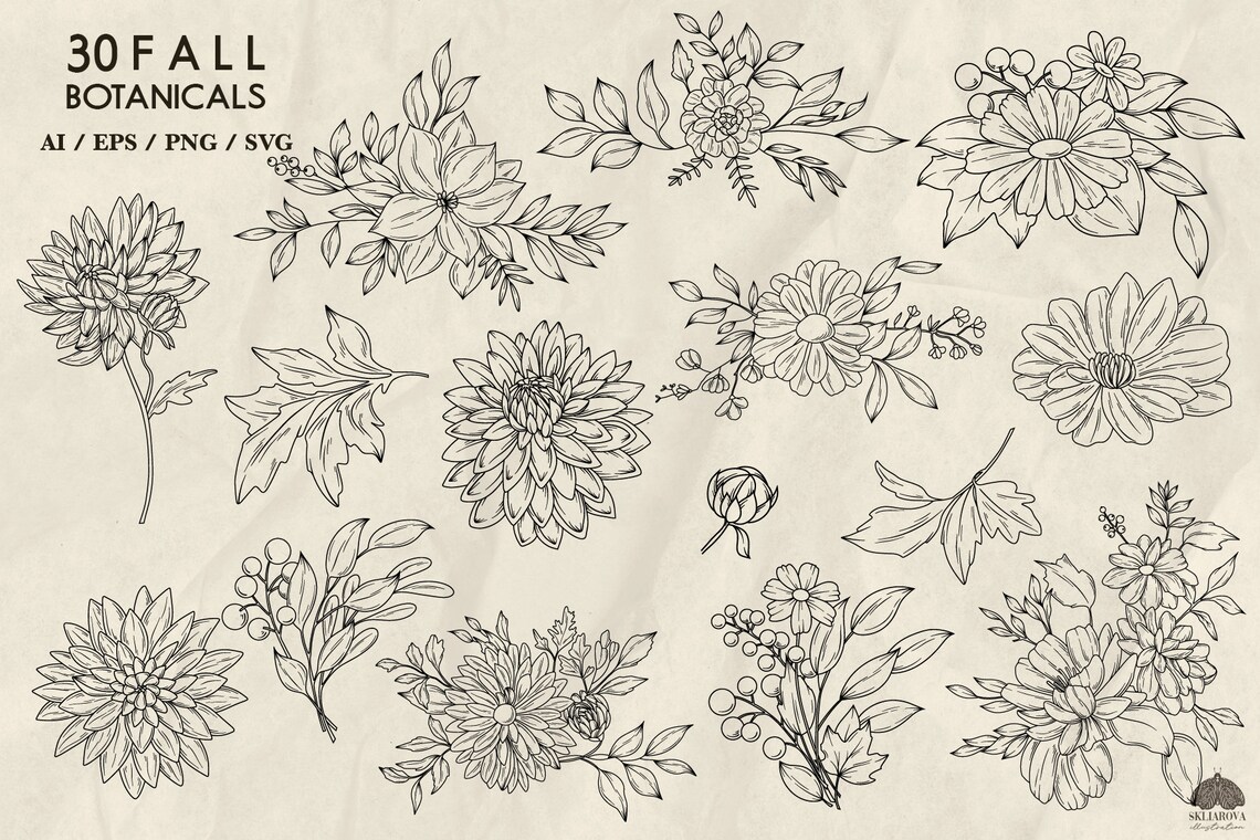 Fall Svg Bundle Autumn Svg Fall Flowers Svg Botanical Line Drawing Svg ...