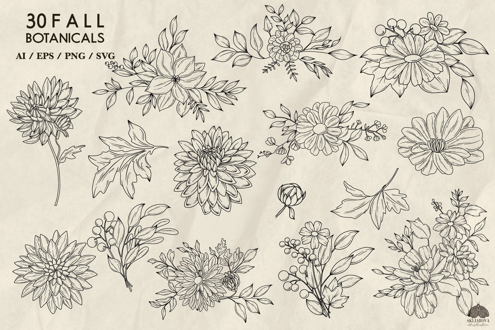 Fall Svg Bundle Autumn Svg Fall Flowers Svg Botanical Line Drawing Svg ...