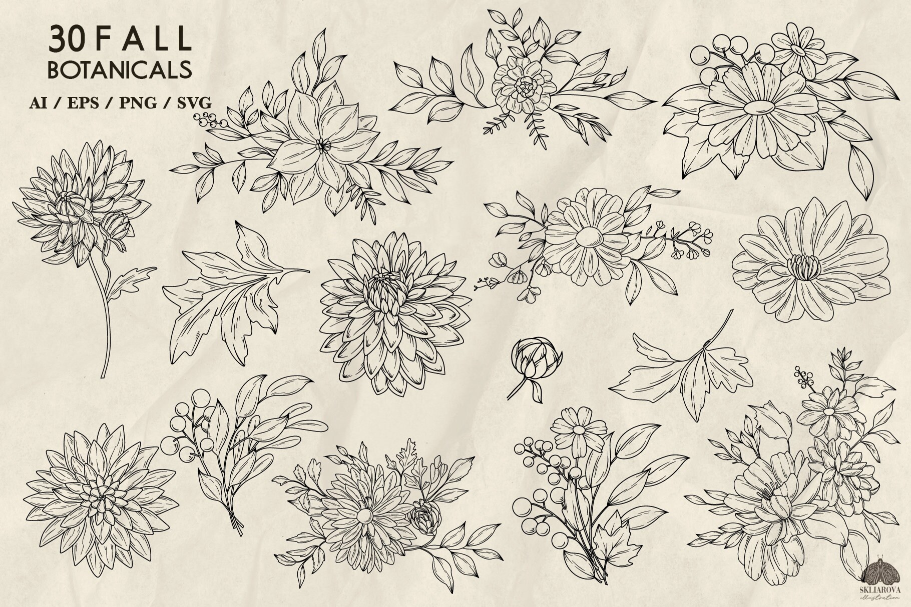 Fall Svg Bundle Autumn Svg Fall Flowers Svg Botanical Line Drawing Svg ...