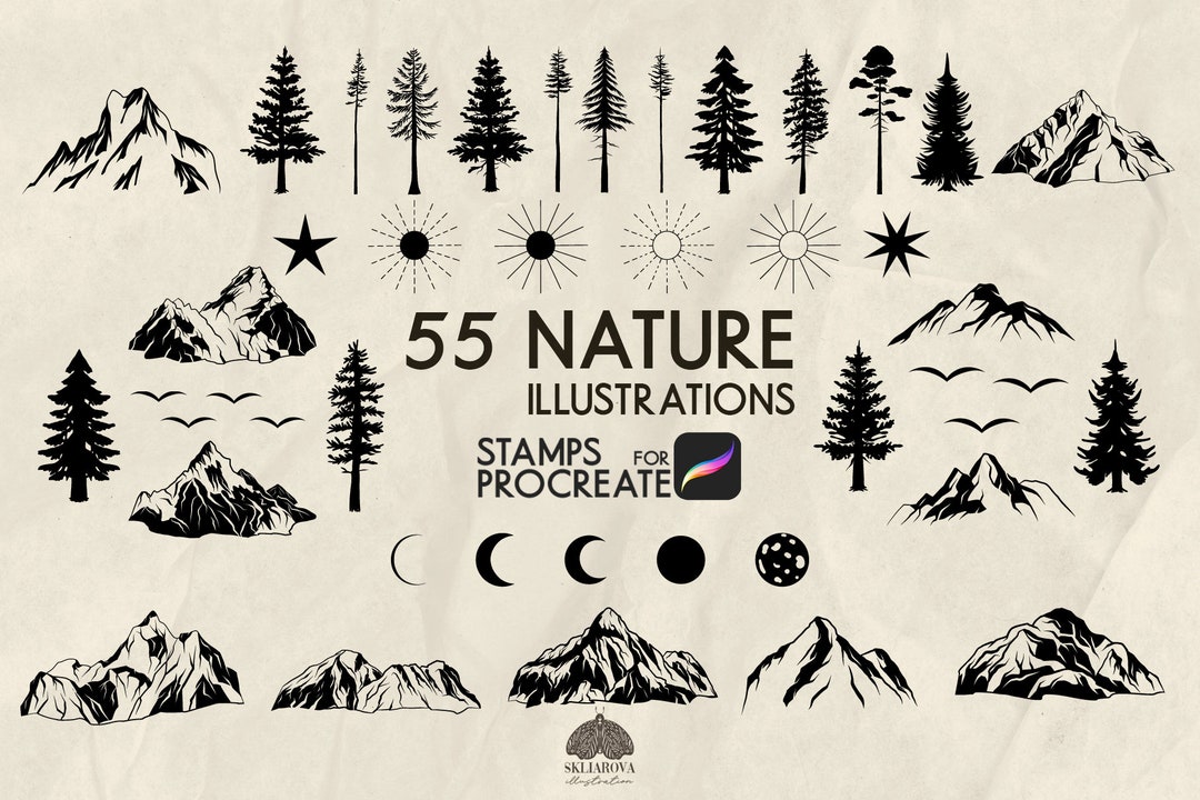 Forest Trees Procreate Stamps Brushes Set Pine Fir Silhouette Mountain ...