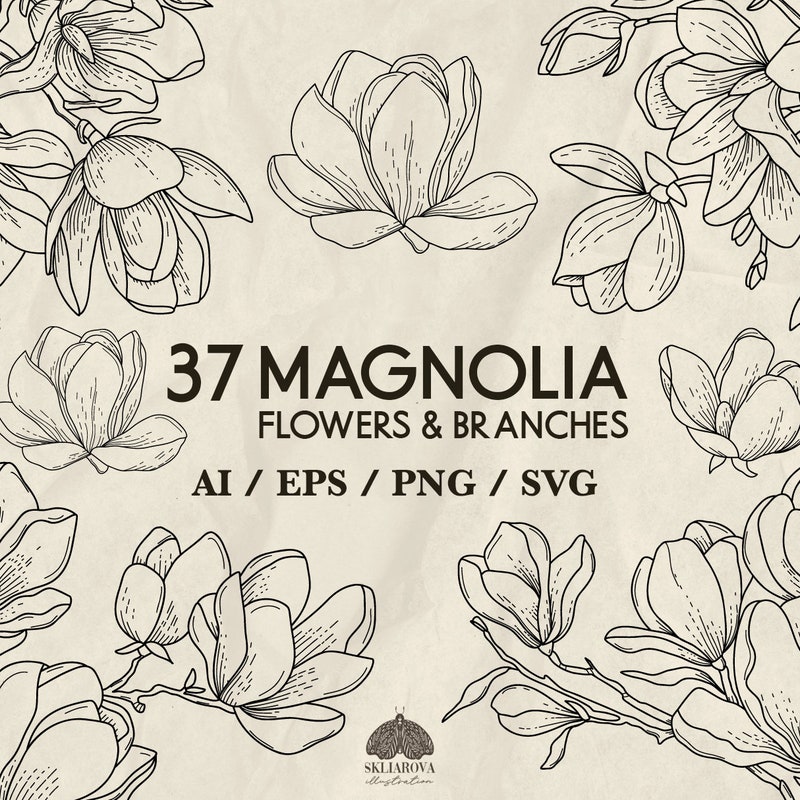 Magnolia Vector - Etsy