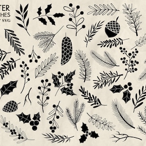Winter Branches Svg Bundle Christmas Plants Svg Winter Botanical ...