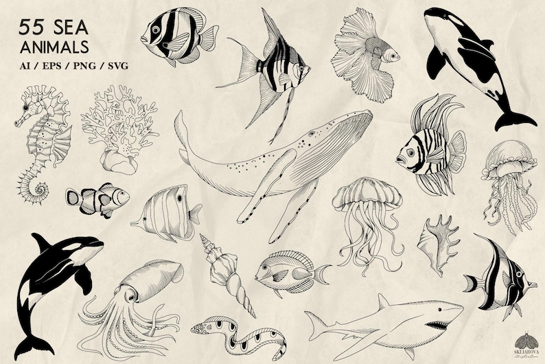 Sea Animals Line Art SVG Bundle: 55 Marine Life Illustrations ( + PNG ...