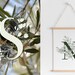 Floral Olive Alphabet SVG Bundle Botanical Olives Letters Numbers ...