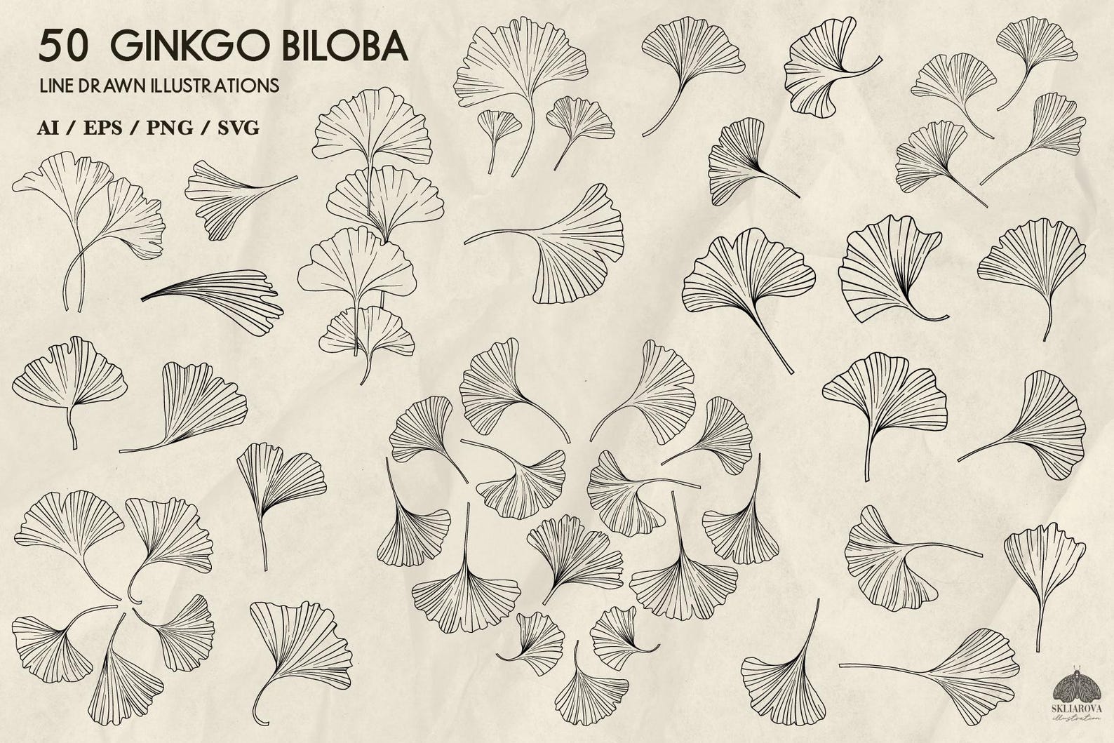 Ginkgo Biloba Svg Bundle Ginkgo Biloba Leaves Hand Drawn Ginkgo Png ...