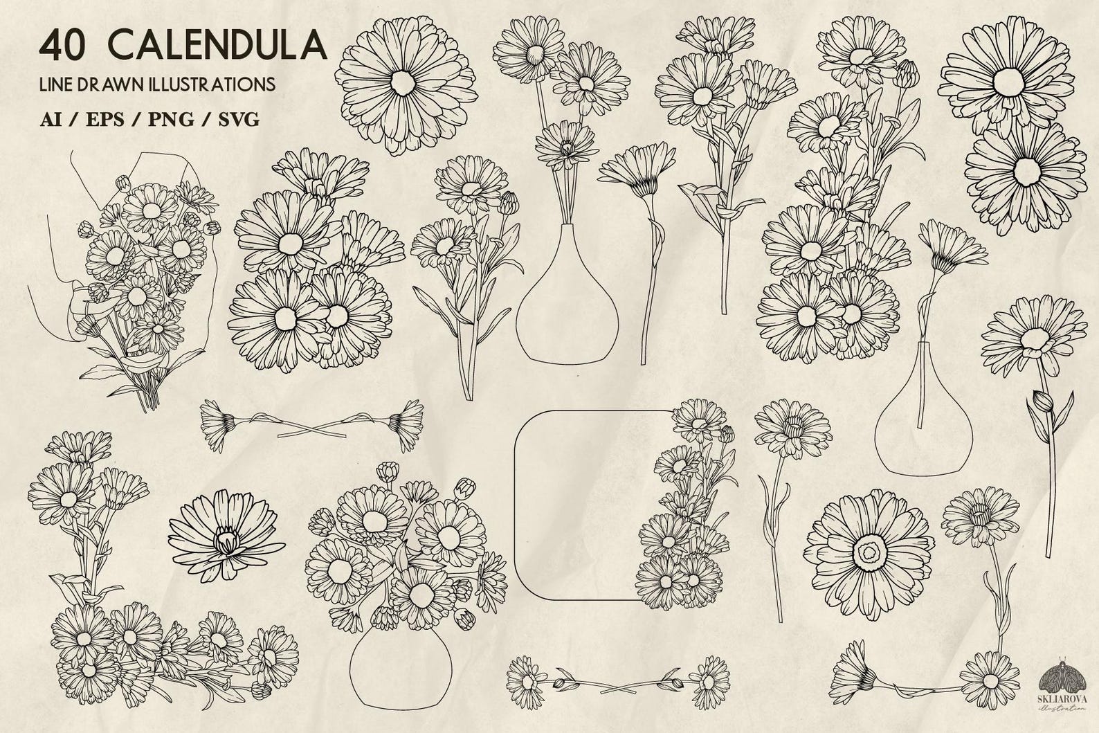 Calendula Line Art SVG Bundle: 40 Floral Vector Illustrations (+ PNG ...