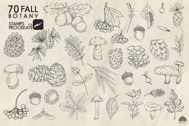 Forest Botanical Procreate Stamps: 70 Fall Floral Brushes (procreate ...