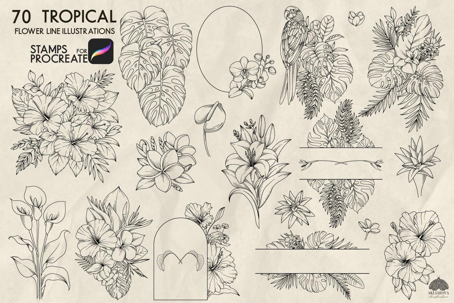 Tropical Stamps for Procreate: 70 Floral Line Art Brushes (procreate ...