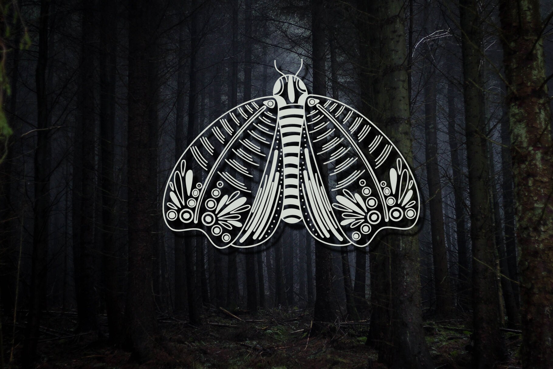 Moth Svg Bundle Line Art Celestial Moth Svg Moon Moth Svg Mystical ...