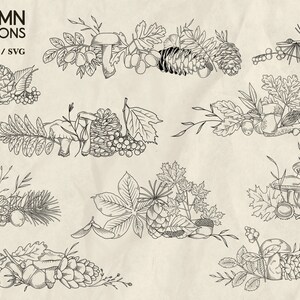 Fall Svg Autumn Svg Botanical Line Art Svg Line Drawing Forest Botany ...