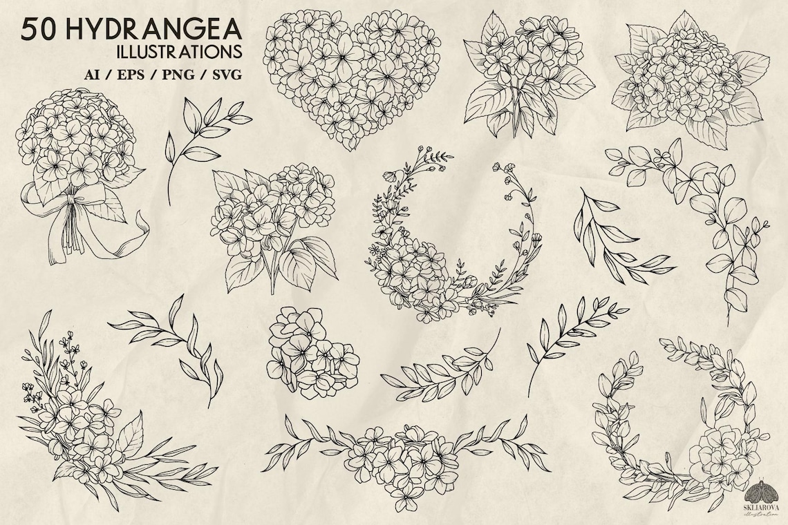 Hydrangea Svg Bundle Line Drawing Hydrangea Flower Wreath Svg Frame ...