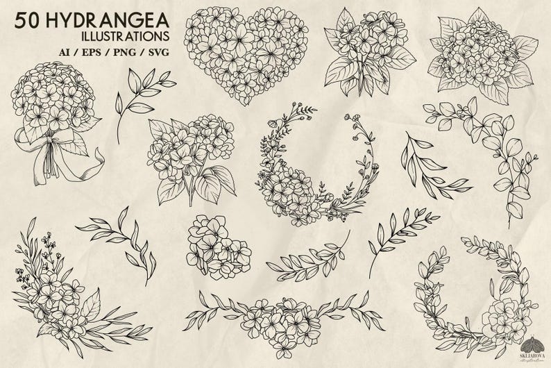 Hydrangea Svg Bundle Line Drawing Hydrangea Flower Wreath Svg Frame ...