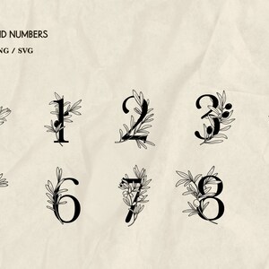 Floral Olive Alphabet SVG Bundle Botanical Olives Letters Numbers ...