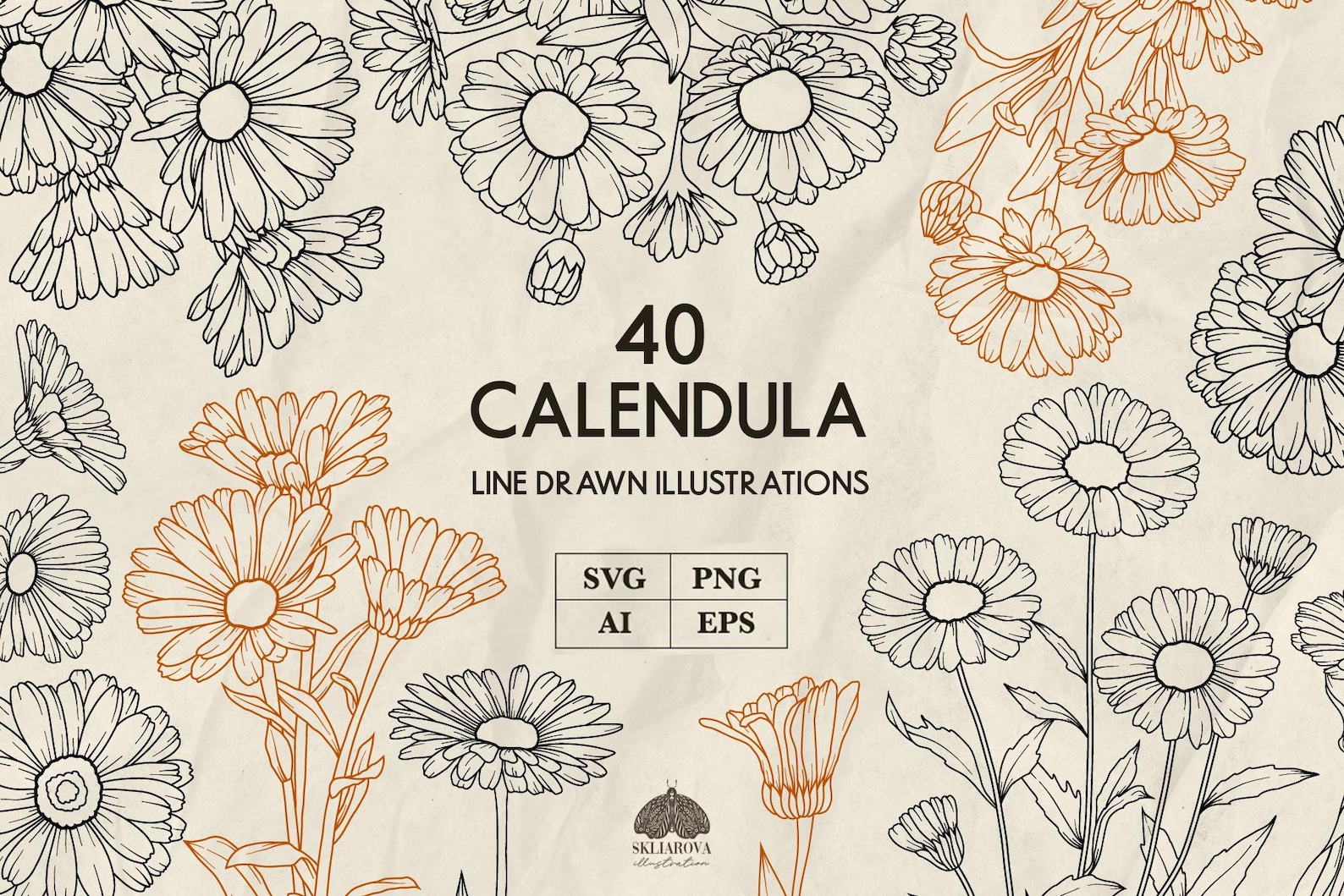 Calendula Line Art SVG Bundle: 40 Floral Vector Illustrations (+ PNG ...