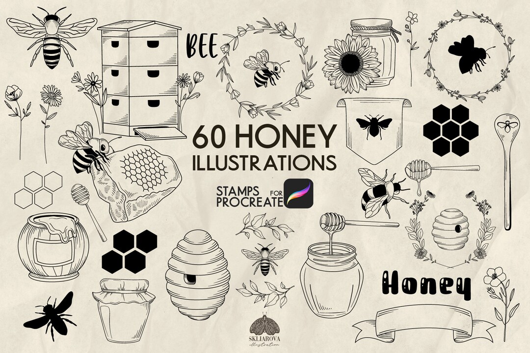 Honey Procreate Stamp Brushes Bee Stamp Procreate Brush Set Bee Hive ...
