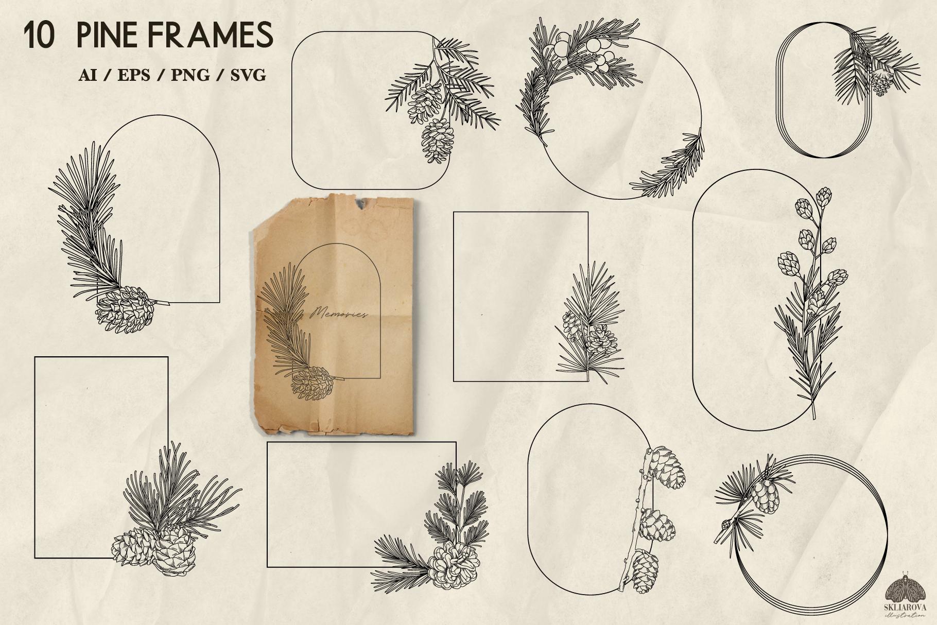 Pine Frames Svg Aesthetic Border Svg Fir Geometric Frame Svg Pinecone ...