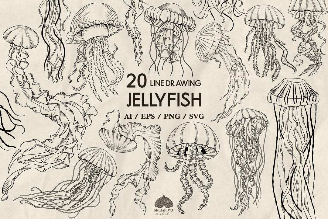Jellyfish Svg Bundle Sea Animals Svg Line Art Jellyfish Outline Hand ...