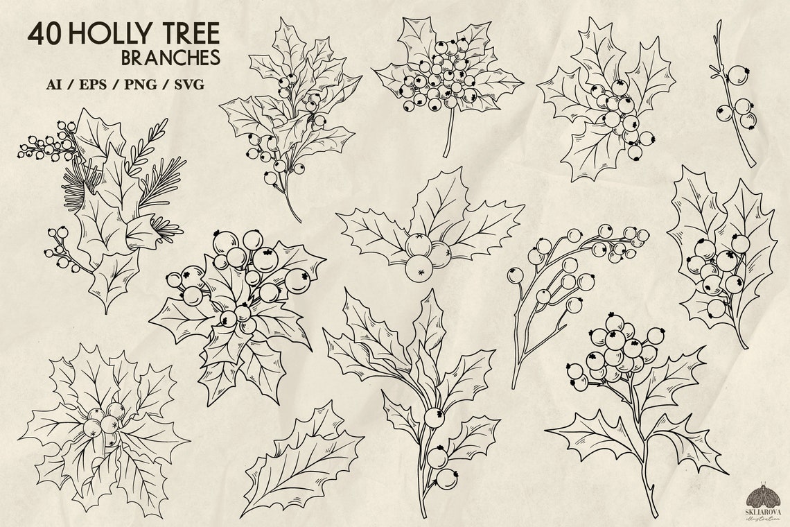 Holly Tree Svg Bundle Christmas Floral Svg Winter Branches Svg Holly ...