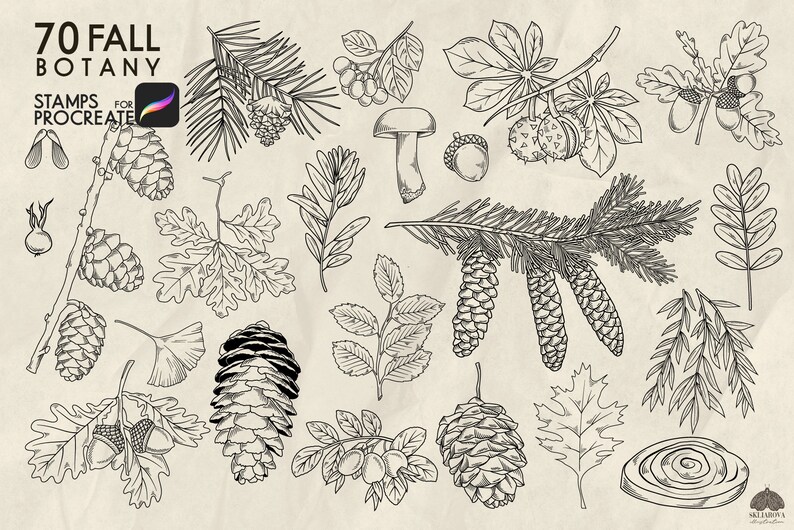 Forest Botanical Procreate Stamps: 70 Fall Floral Brushes (procreate ...
