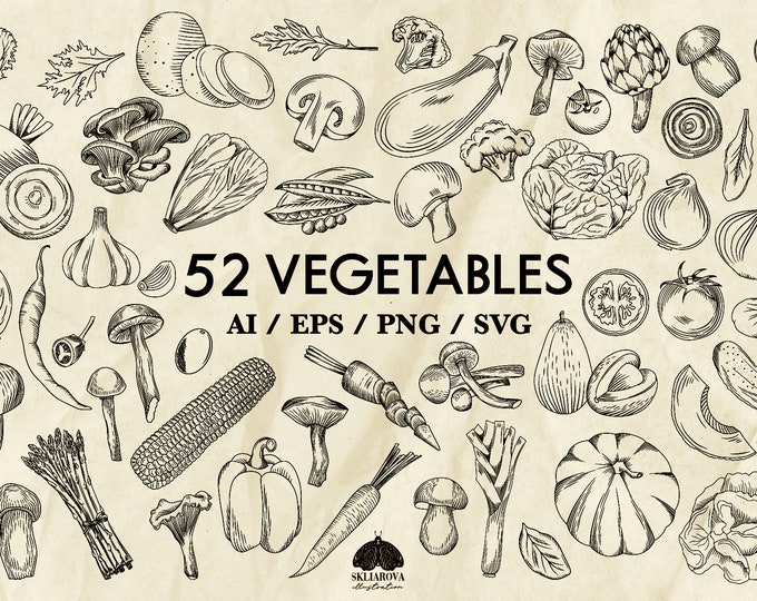 Vegetables Illustration PNG and SVG - Etsy Canada
