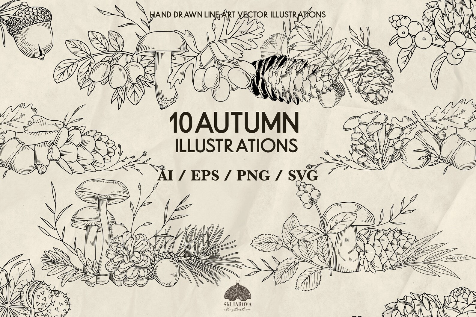 Fall Svg Autumn Svg Botanical Line Art Svg Line Drawing Forest Botany ...
