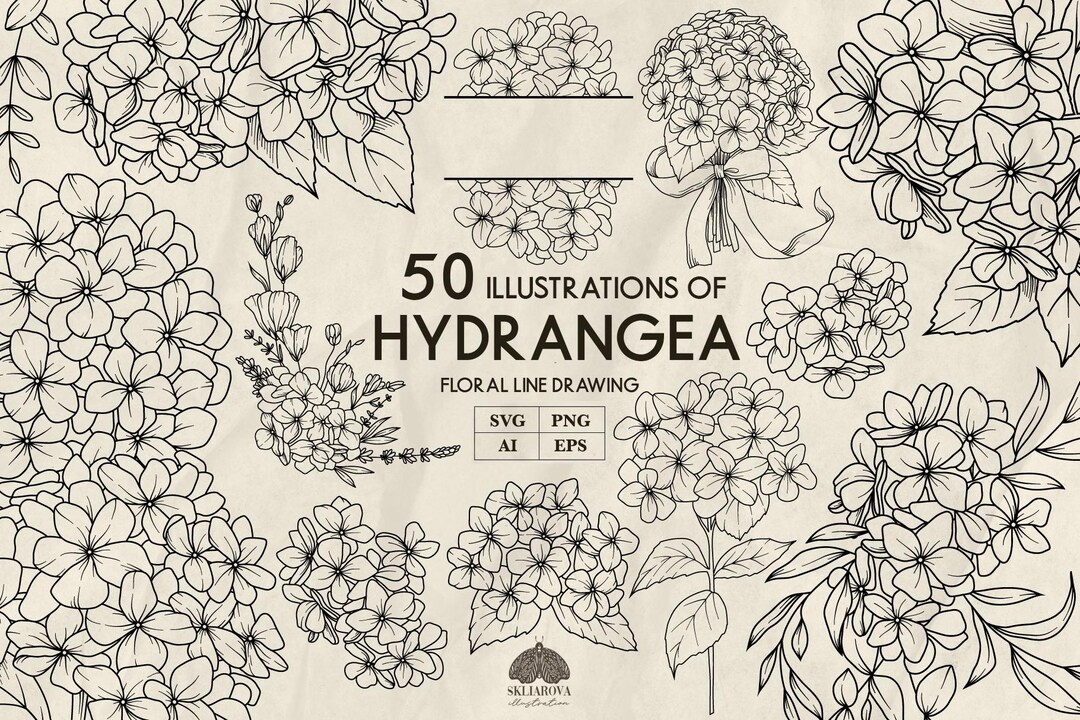 Hydrangea Svg Bundle Line Drawing Hydrangea Flower Wreath Svg Frame ...