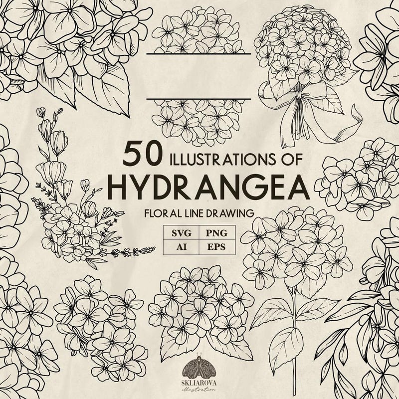 Svg Line Borders - Etsy