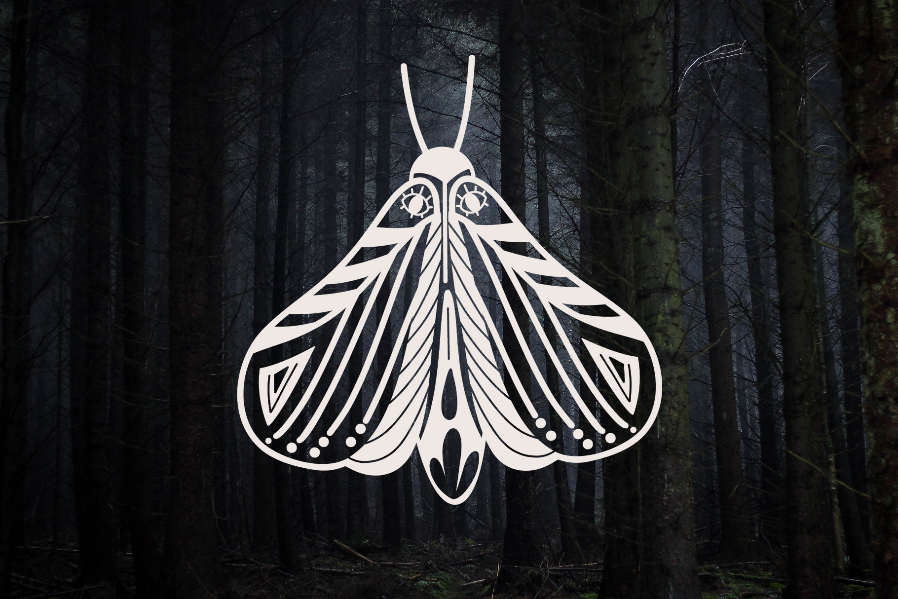 Moth Svg Mystical Moth Svg Butterfly Svg Geometric Celestial Moth ...