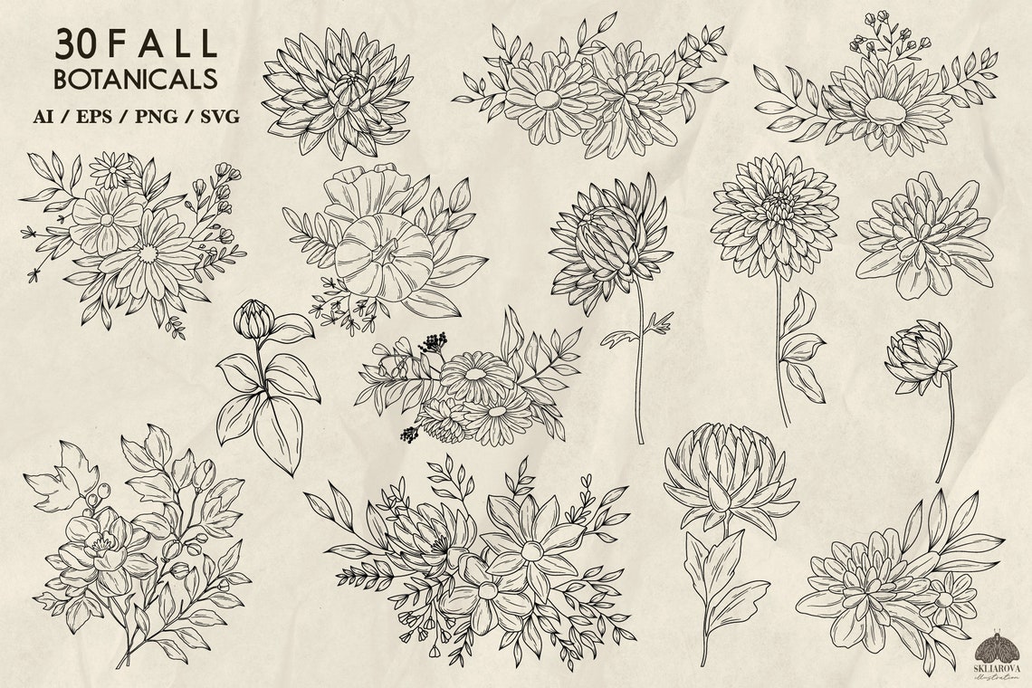 Fall Svg Bundle Autumn Svg Fall Flowers Svg Botanical Line Drawing Svg ...