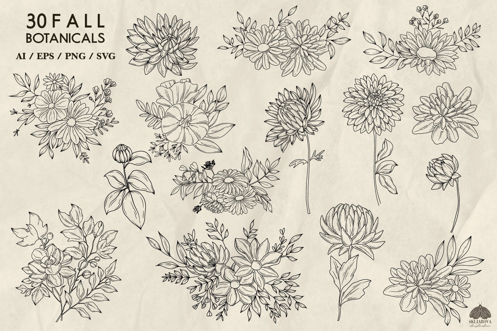 Fall Svg Bundle Autumn Svg Fall Flowers Svg Botanical Line Drawing Svg ...