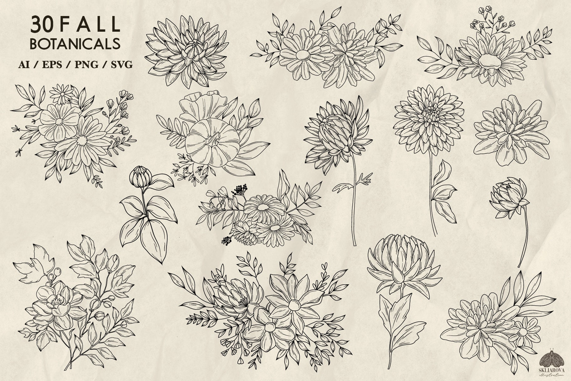 Fall Svg Bundle Autumn Svg Fall Flowers Svg Botanical Line Drawing Svg ...