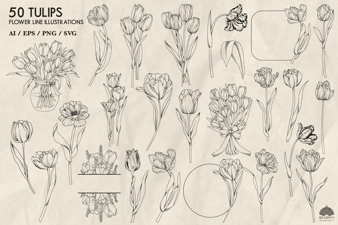 Tulip Svg Bundle Tulips Svg Spring Flowers Svg Tulip Outline Floral ...