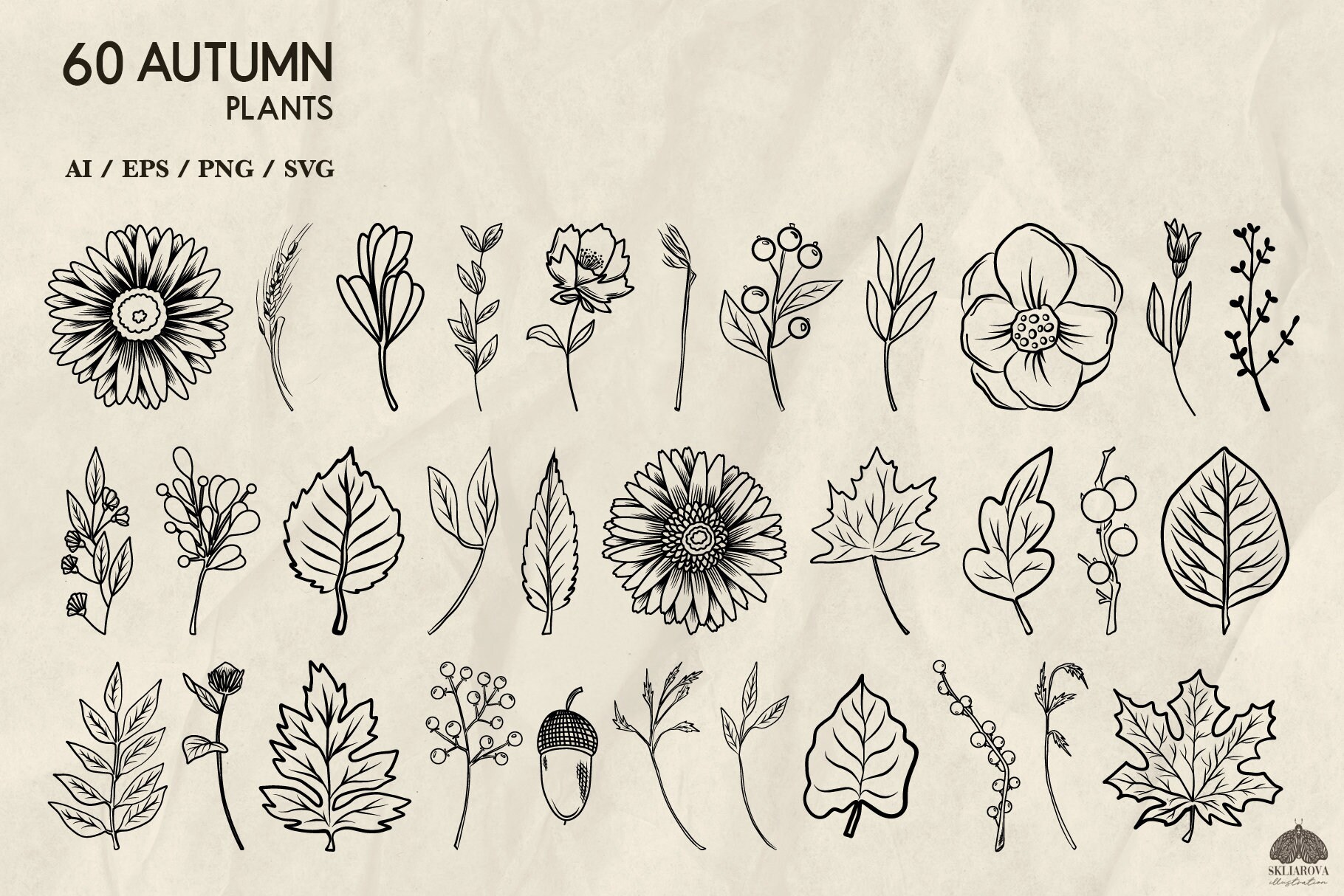 Fall Svg Bundle Autumn Botanical Line Art Svg Fall Leaves Outline ...