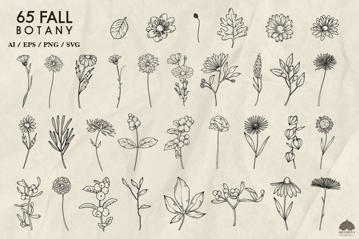 Fall Floral Svg Bundle Autumn Botanical Line Art Svg Line Drawing ...