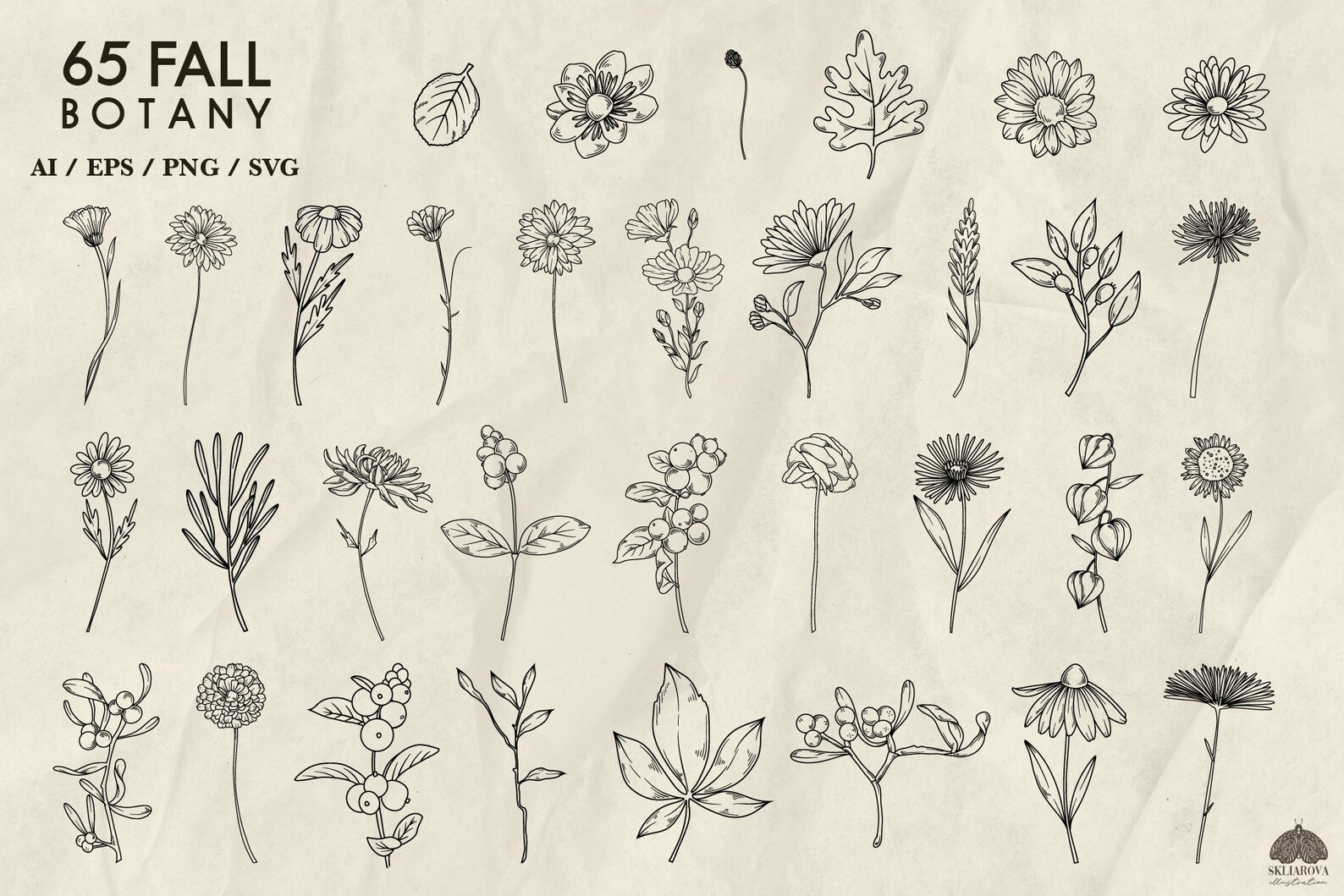 Fall Floral Line Art SVG Bundle: 65 Botanical Vector Illustrations ...