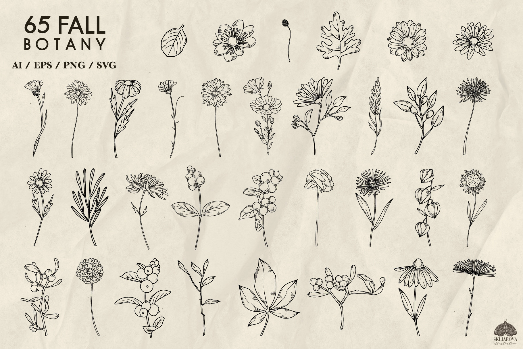 Fall Floral Svg Bundle Autumn Botanical Line Art Svg Line Drawing ...